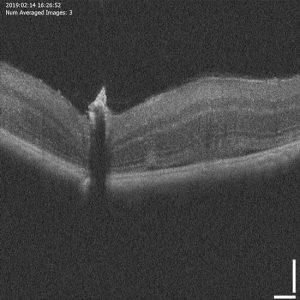 Researchers - Phoenix-Micron