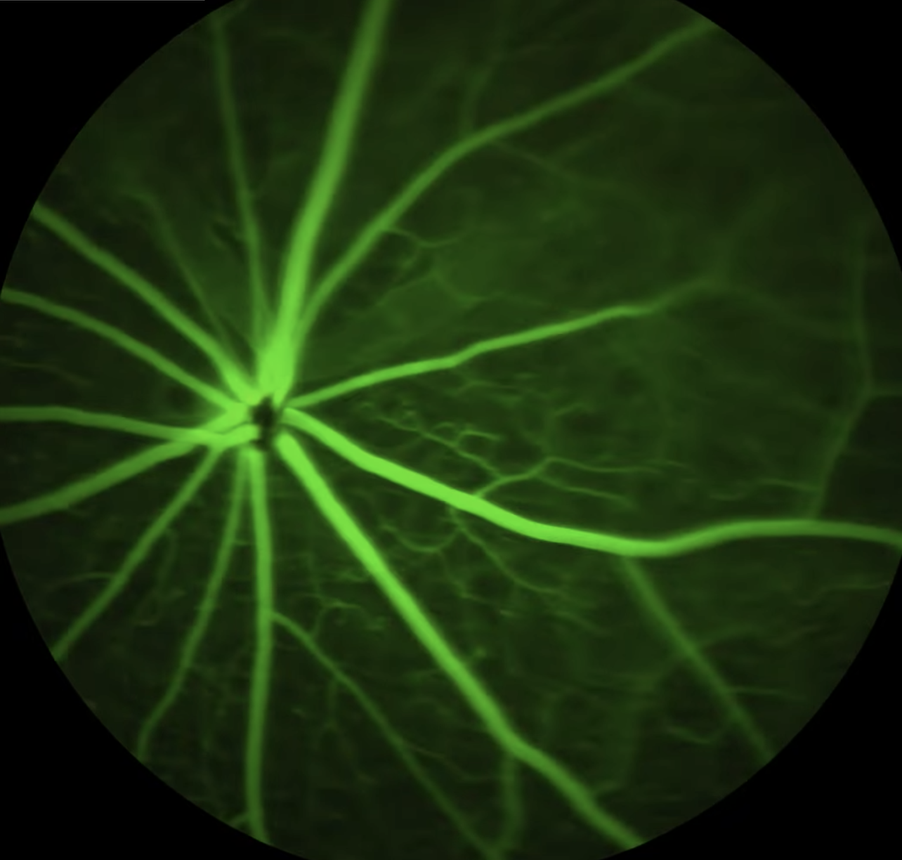 Where do research ideas come from? - Phoenix-Micron