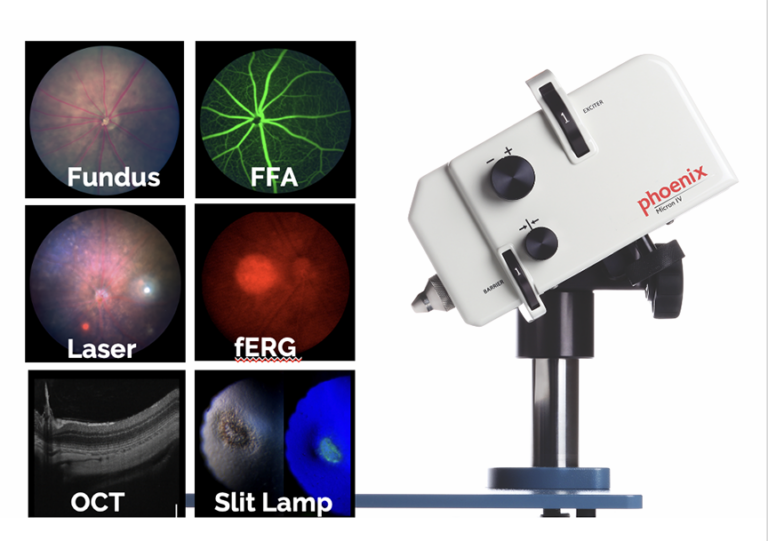 MICRON IV MODALITIES - Phoenix-Micron